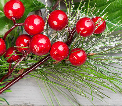 Mistletoe Kiss Essential Oil + Fragrance Oil Blend – Lolablue Living